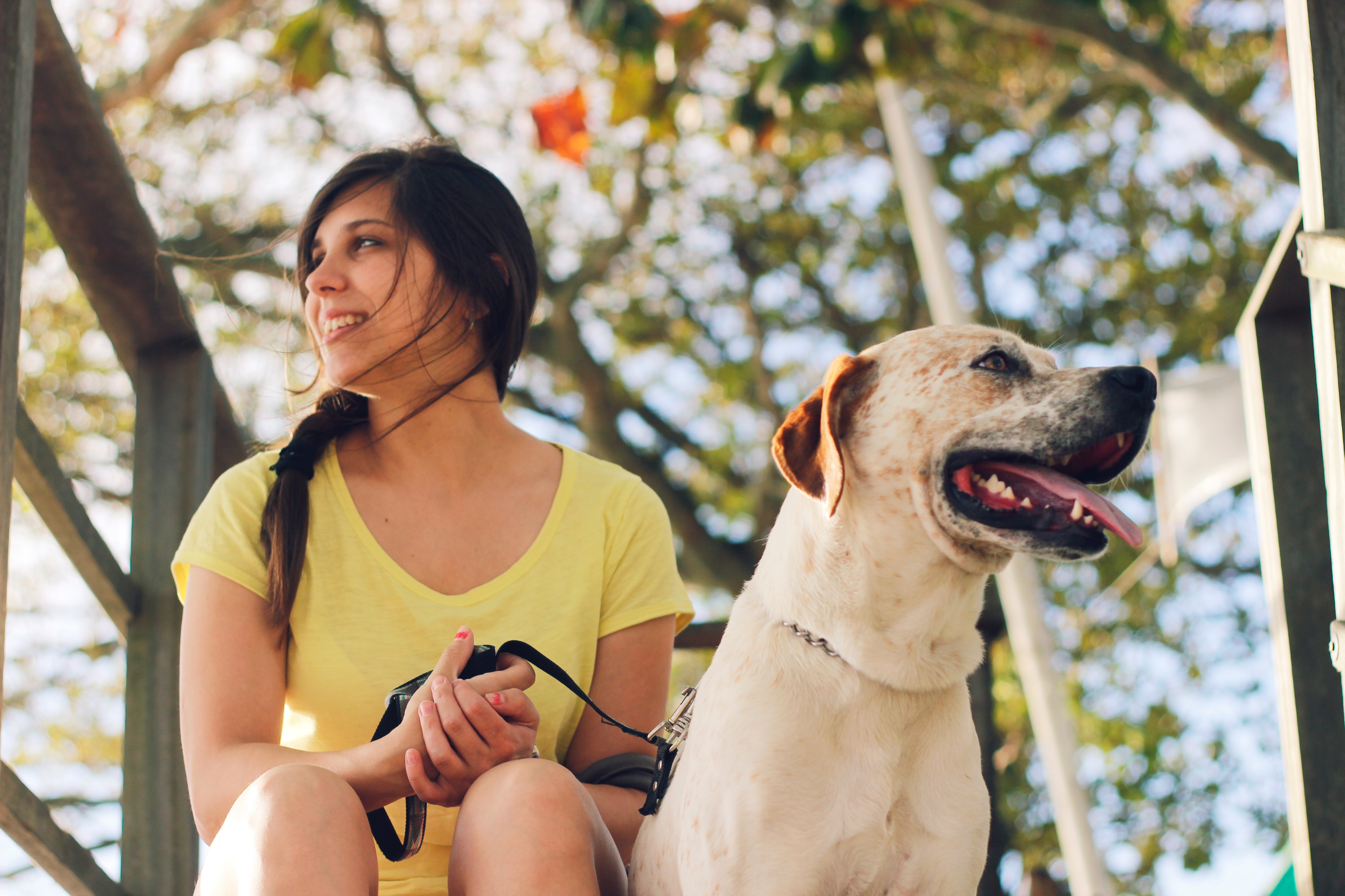 Signs Of A Trustworthy Dog Sitter Premier Dog Walkers Signs Of A Trustworthy Dog Sitter Premier Dog Walkers